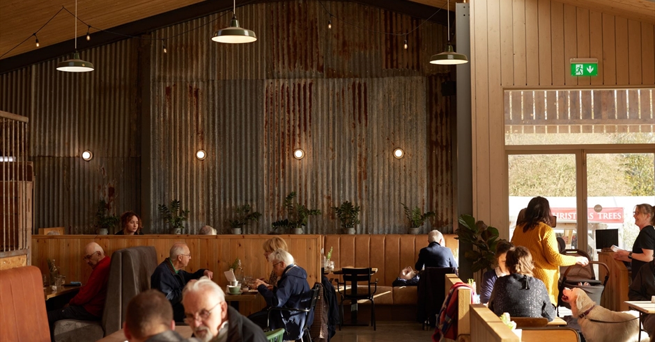 Cafes and Tearooms in Bath - VisitBath.co.uk