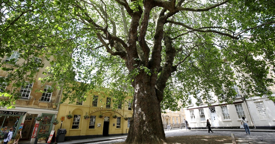About Bath - Visit Bath