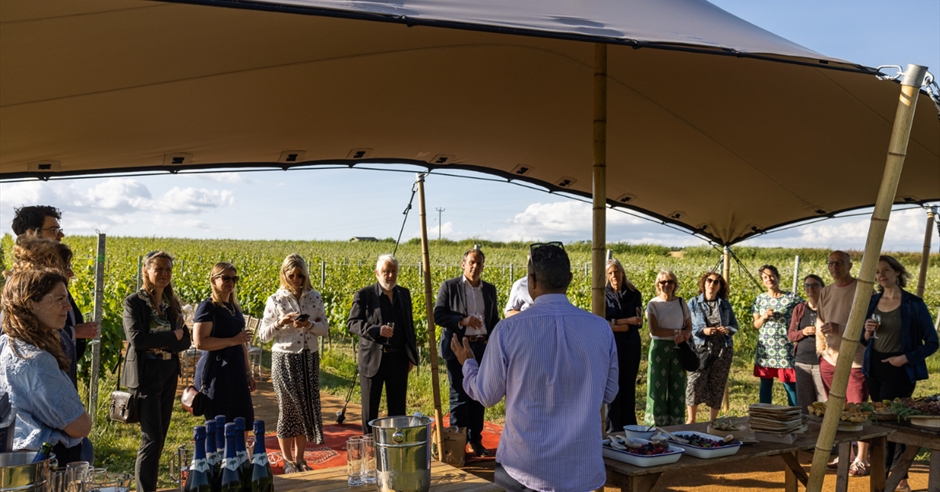 Minerva Wine Tours - Corston Vineyard Estate - Visit Bath