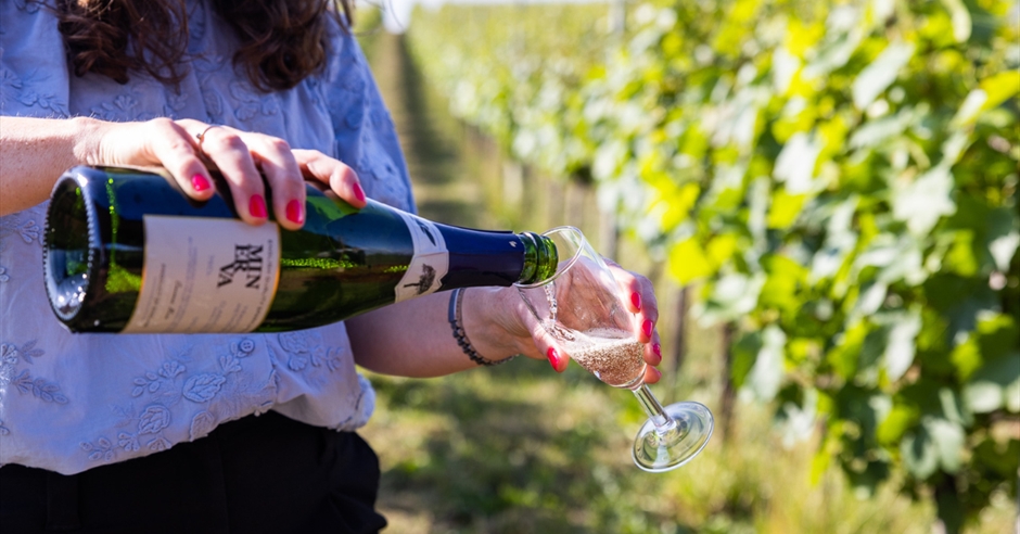 Minerva Wine Tours - Corston Vineyard Estate - Visit Bath