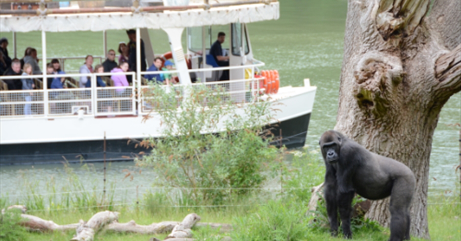 Longleat - Visit Bath