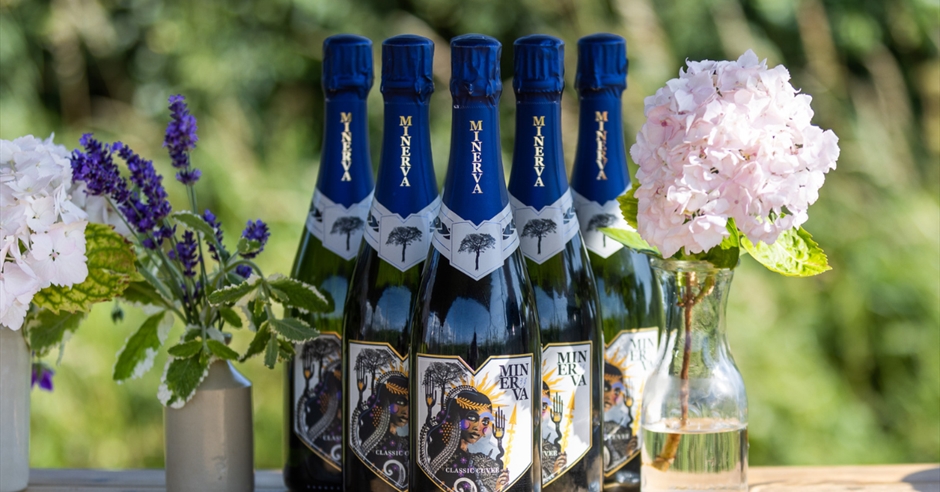 Minerva Wine Tours - Corston Vineyard Estate - Visit Bath