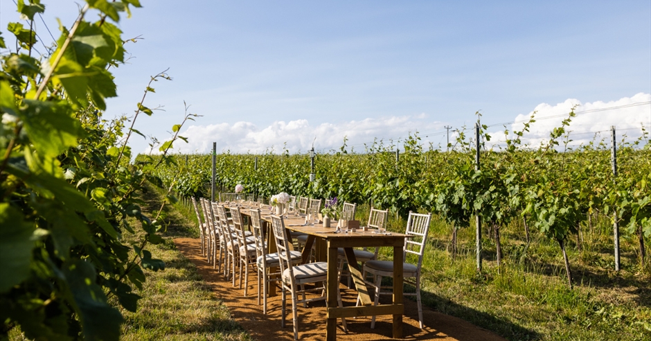 Minerva Wine Tours - Corston Vineyard Estate - Visit Bath