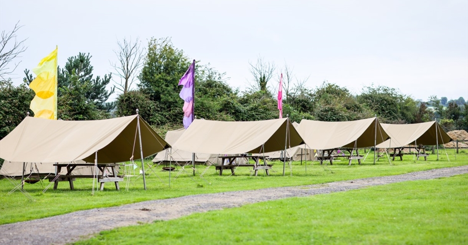Avon Valley Adventure Park Camping - Camping in Bristol, Keynsham ...