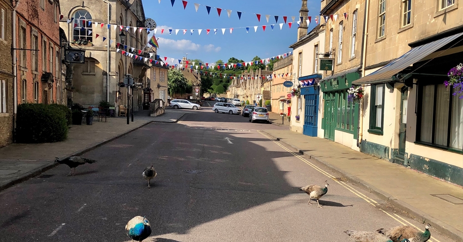 Corsham - Town in Corsham - Visit Bath