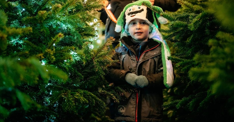 Christmas Tree Maze at Bath on Ice, Royal Victoria Park - Visit Bath